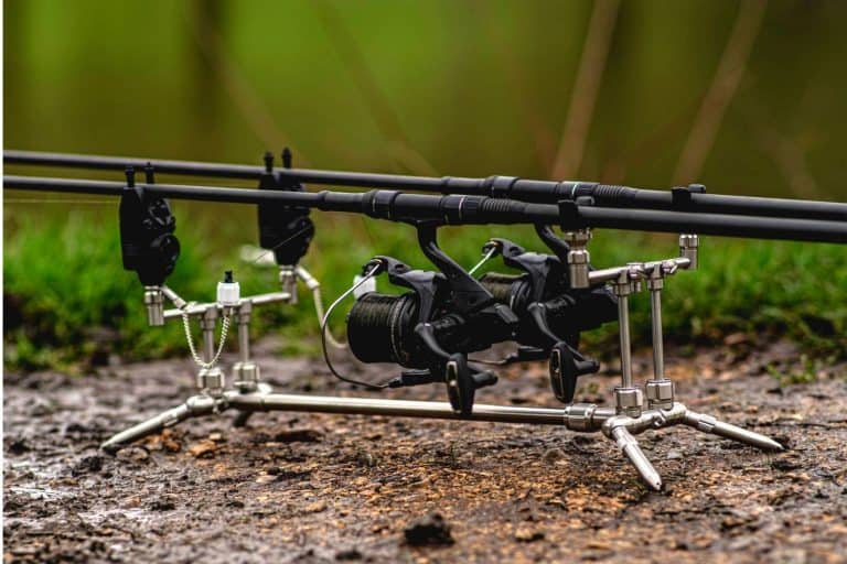 The Top 6 Best Rod Pods on the Market in 2024 - Reviewed and Compared