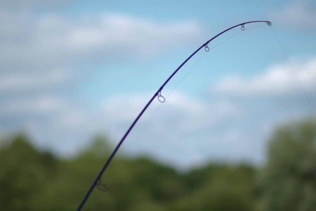 Understanding Carp Rod Test Curves - A Comprehensive Guide
