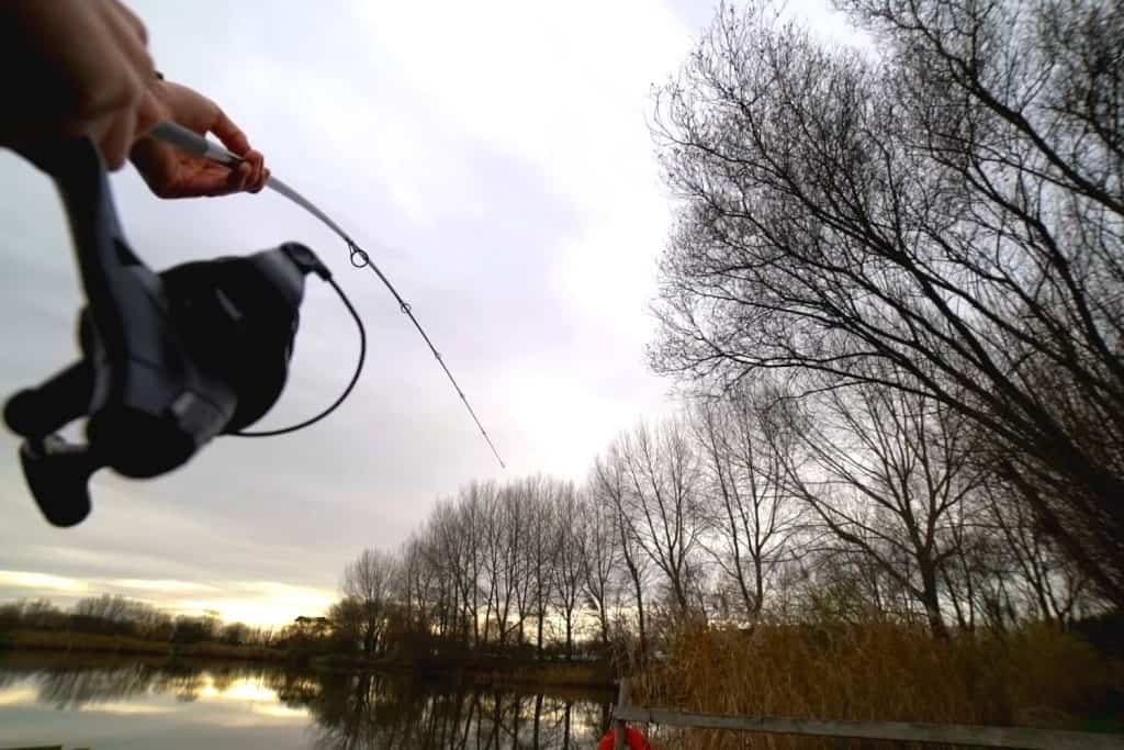 Understanding Carp Rod Test Curves - A Comprehensive Guide