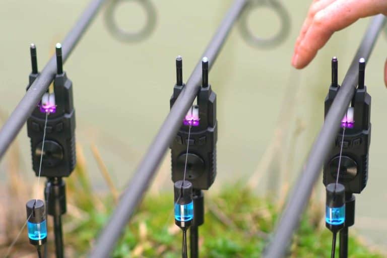 The 7 Best Carp Fishing Lines in 2023 - Buyers Guide