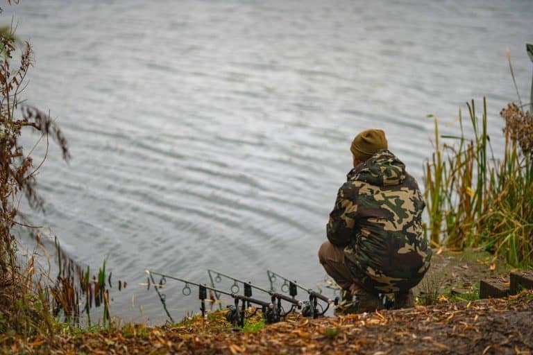 Essential Carp Rigs: A Comprehensive Guide