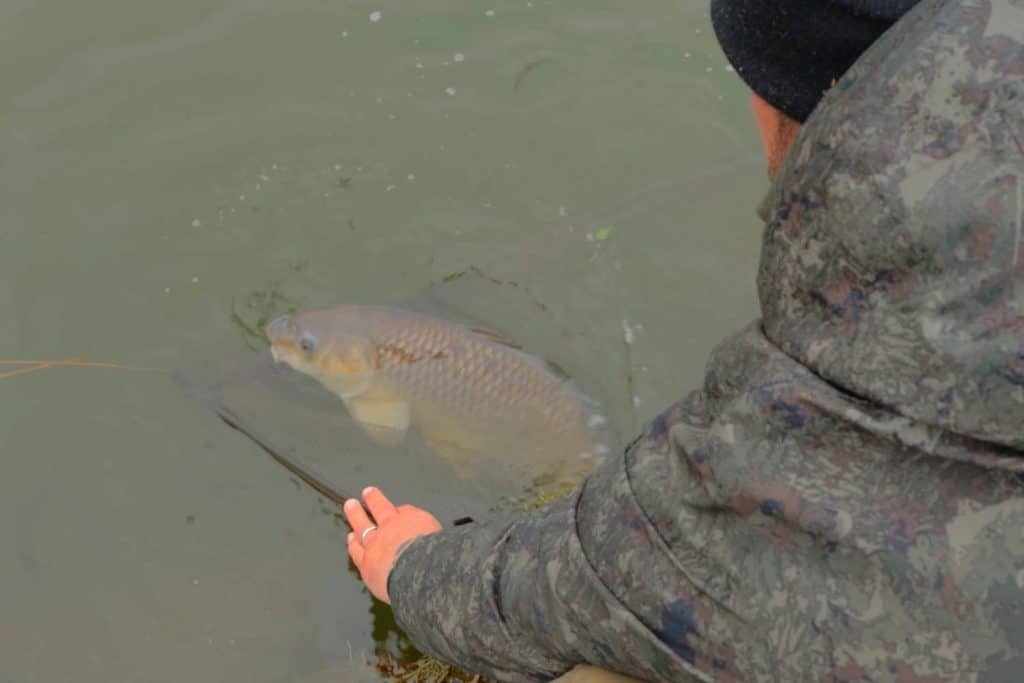 Carp Fishing In The Rain - Tips and Tactics