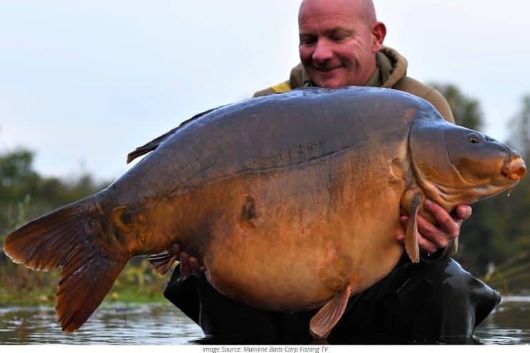 British Carp Record - History and Facts
