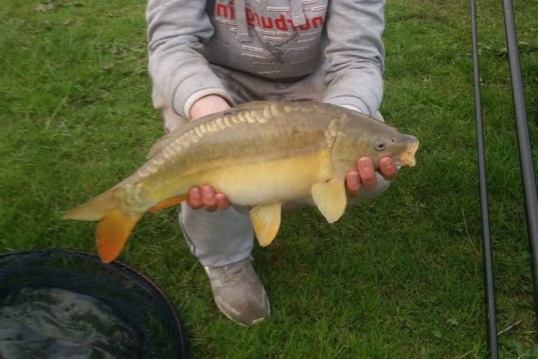 A Guide To Carp Species | CarpQuest