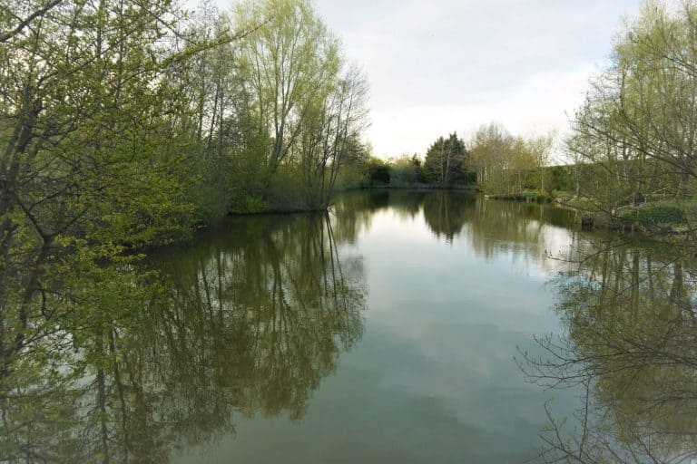 Berkshire Carp Fishing Lakes in Near Me - Discover The Best Fishing Spots