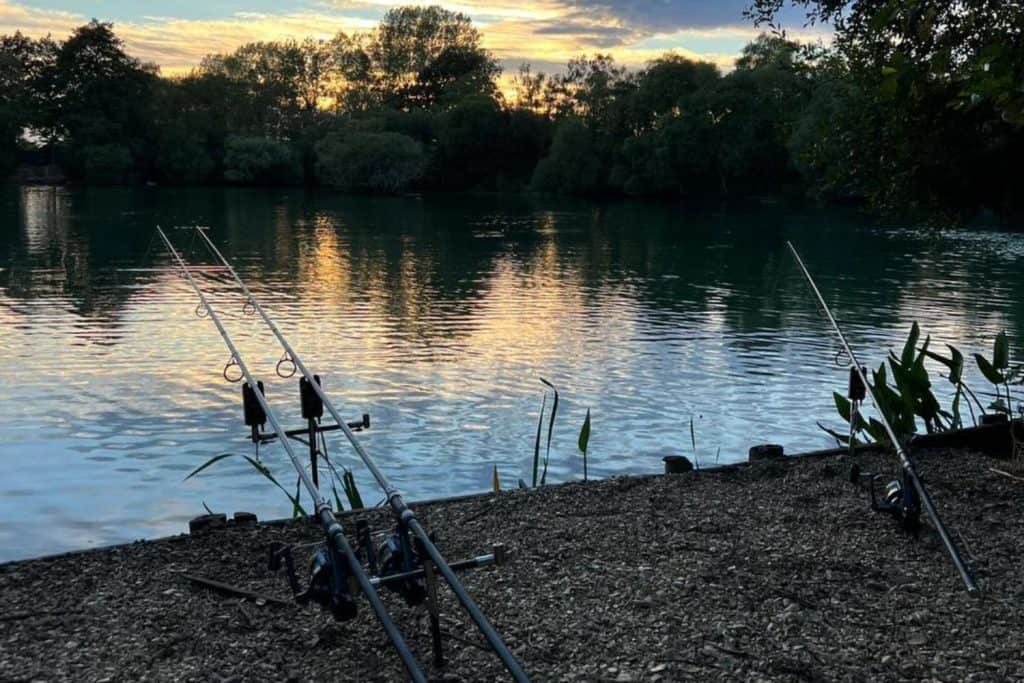 Hampshire Carp Fishing Lakes Near Me - Discover the Best Fishing Spots