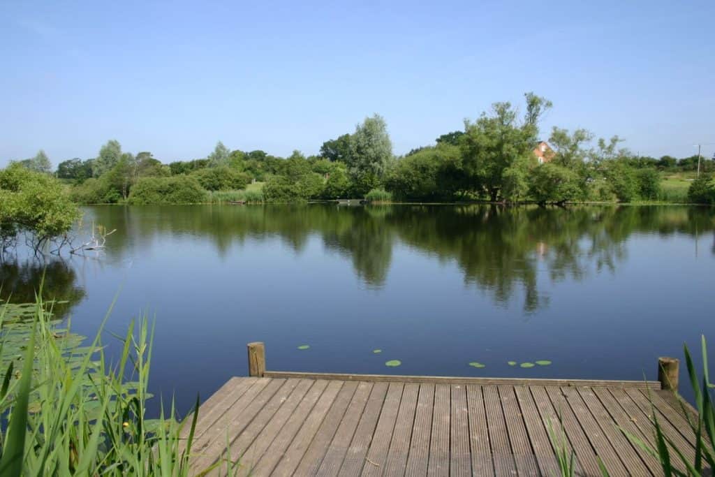 Shropshire Carp Fishing Lakes Near Me - Discover The Best Fishing Spots
