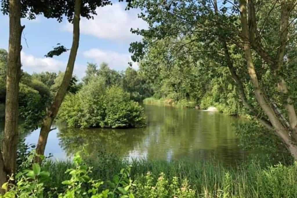 Norfolk Carp Fishing Lakes Near Me - Discover The Best Fishing Spots
