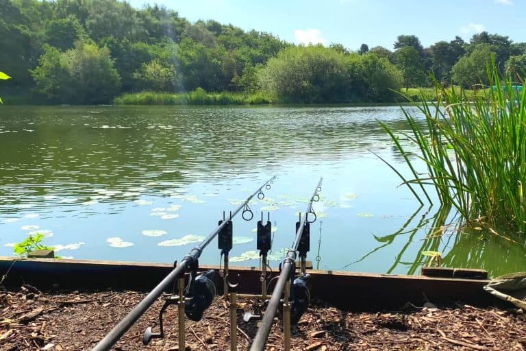 Cheshire Carp Fishing Lakes Near Me - Discover The Best Fishing Spots