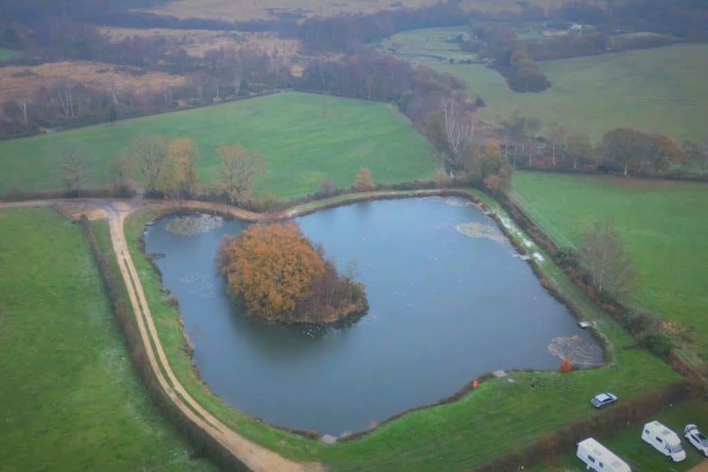 Dorset Carp Fishing Lakes Near Me - Discover The Best Fishing Spots