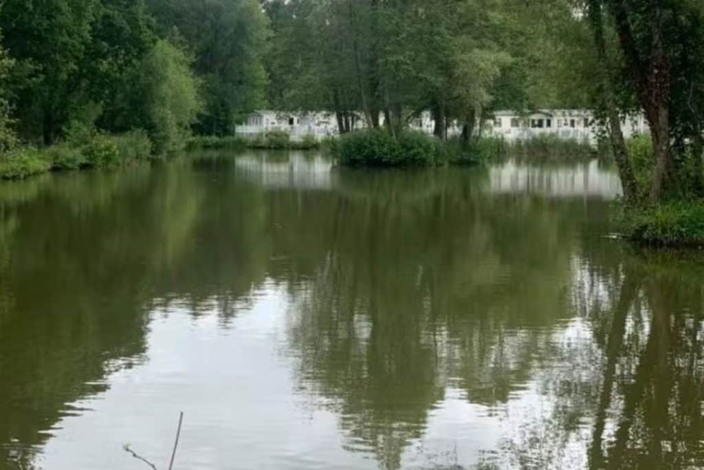 Dorset Carp Fishing Lakes Near Me - Discover The Best Fishing Spots