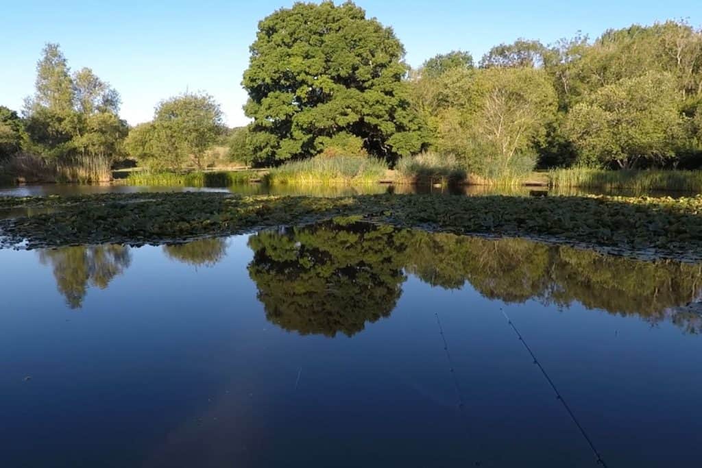 South Yorkshire Carp Fishing Lakes Near Me - Discover The Best Fishing ...