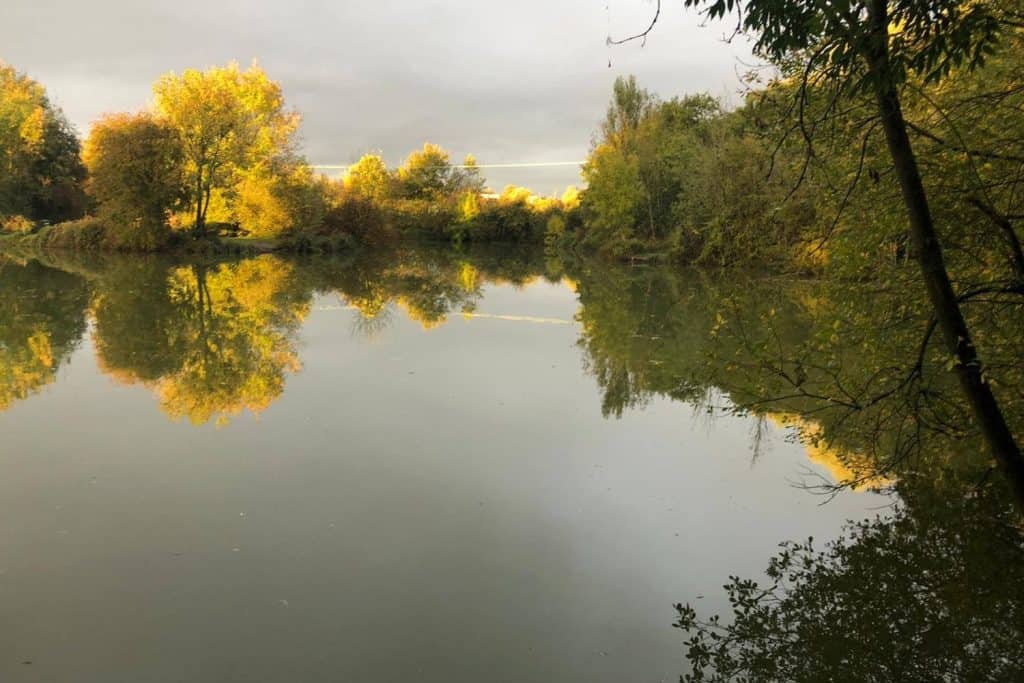Essex Carp Fishing Lakes Near Me - Discover The Best Fishing Spots
