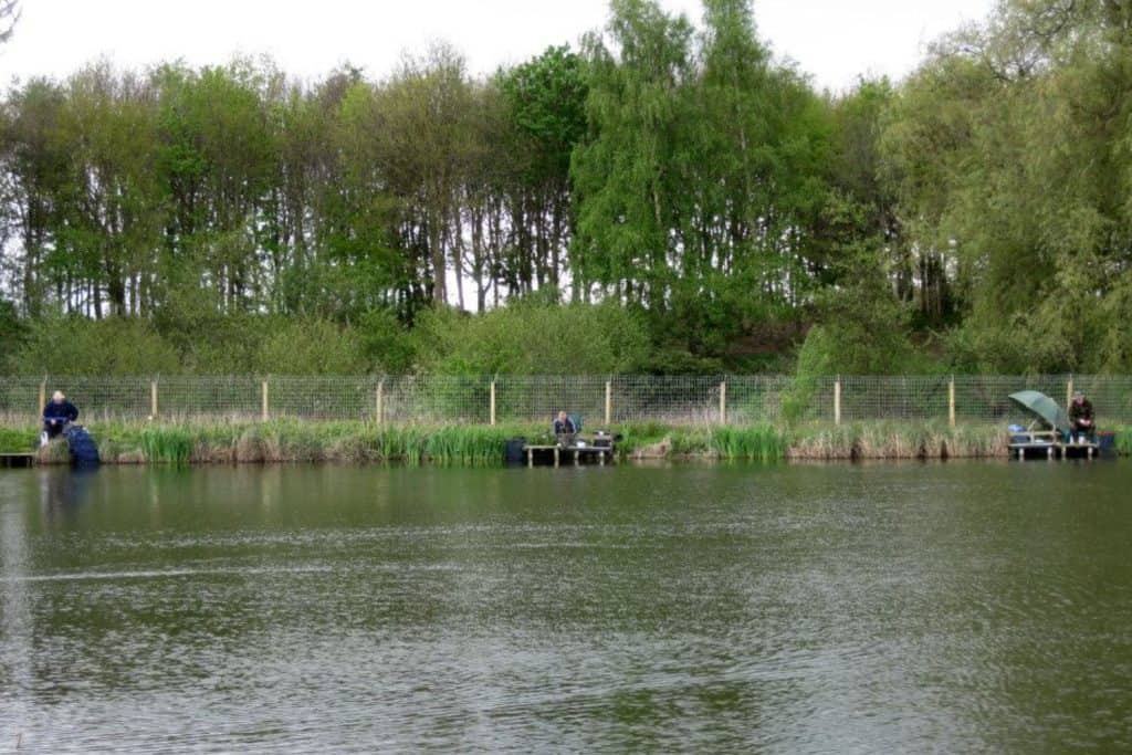 North Yorkshire Carp Fishing Lakes Near Me - Discover The Best Fishing ...