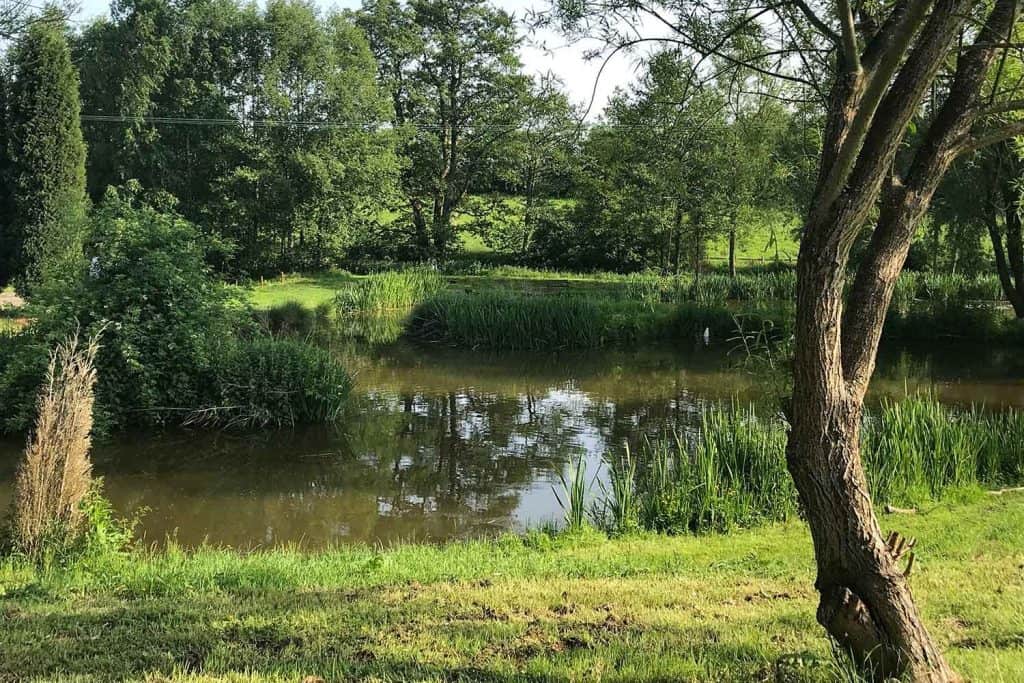 Worcestershire Carp Fishing Lakes Near Me