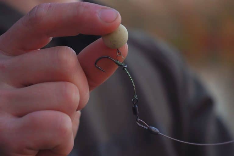 Advanced Carp Rigs: Unlocking Secrets to Carp Fishing Success