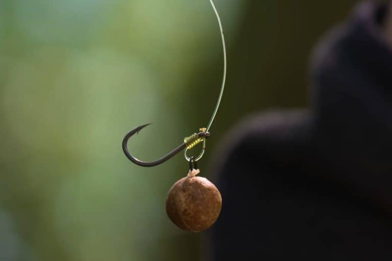 Essential Carp Rigs: A Comprehensive Guide