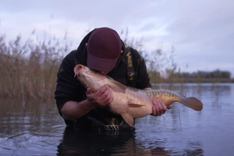 UK Carp Fishing Regulations: Key Rules & Guidelines