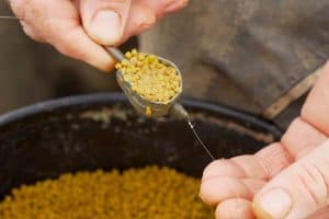 Method Feeder Fishing: A Comprehensive Guide for Carp Anglers