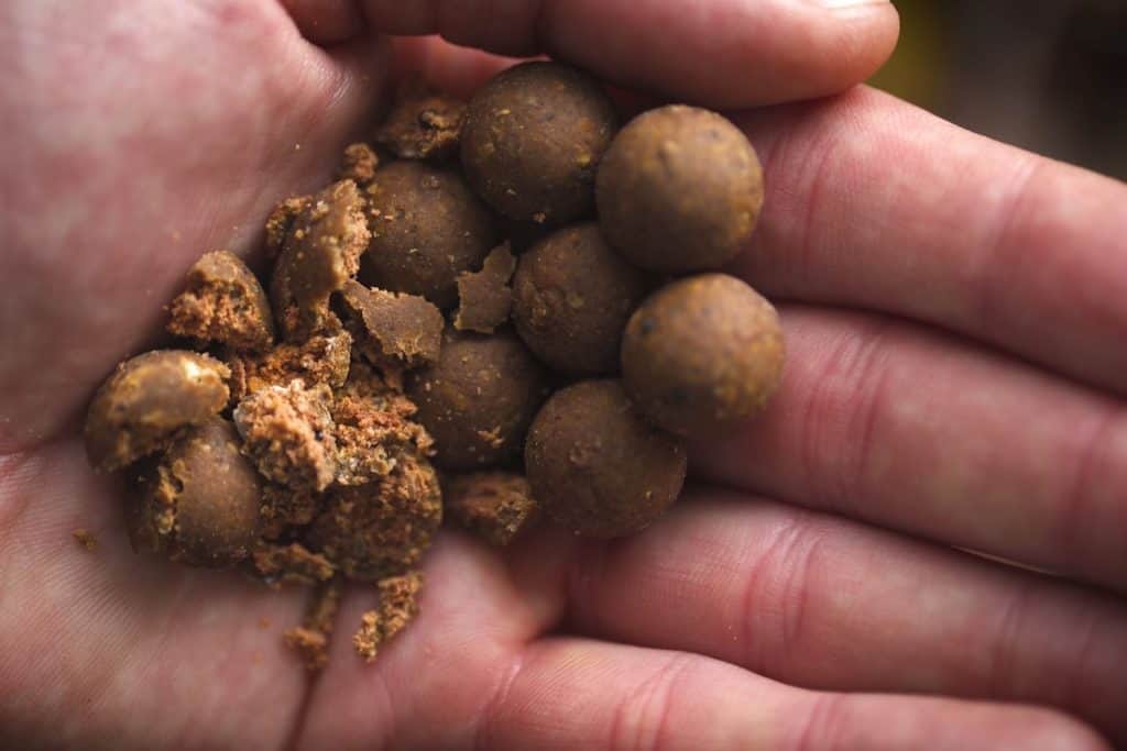 Ultimate Guide to Carp Fishing with Boilies