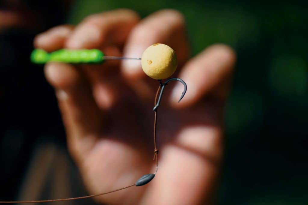 Advanced Carp Rigs: Unlocking Secrets to Carp Fishing Success