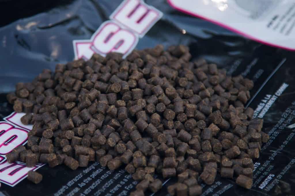Carp Fishing Bait Guide: Options and Preparation Tips