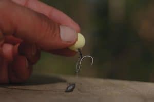 Essential Carp Rigs: A Comprehensive Guide