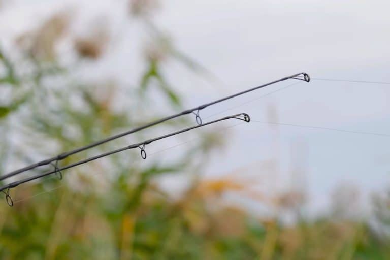 UK Carp Fishing Regulations: Key Rules & Guidelines