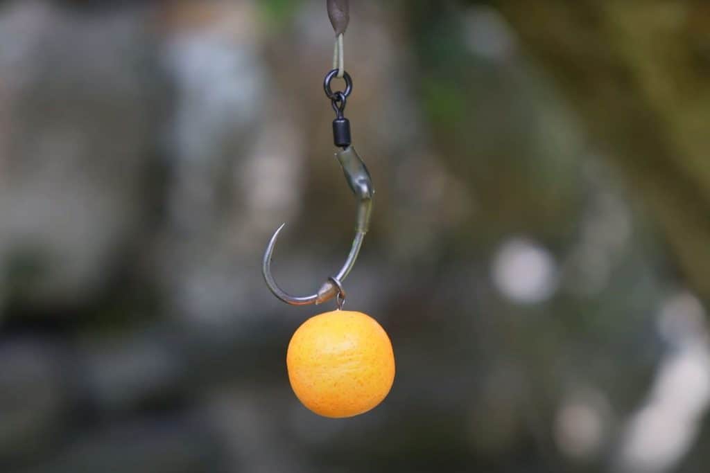 Advanced Carp Rigs: Unlocking Secrets to Carp Fishing Success