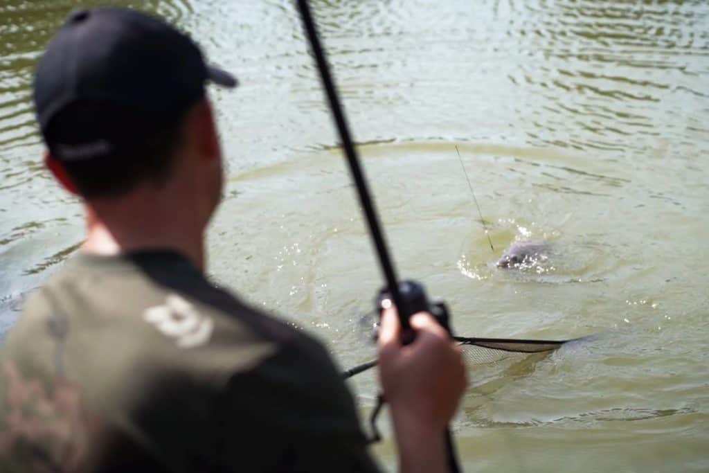 Surface Fishing for Carp: A Comprehensive Guide