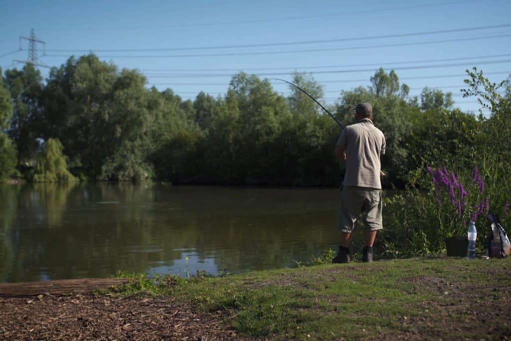 Surface Fishing for Carp: A Comprehensive Guide