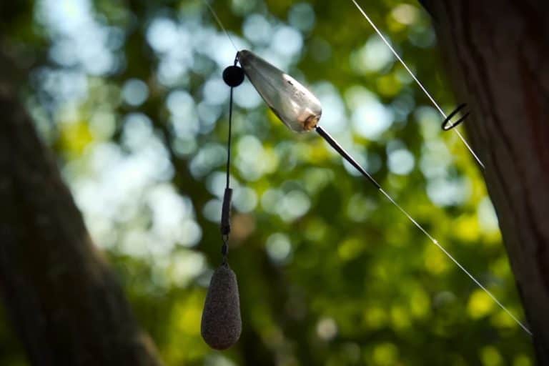 Zig Rig Fishing: A Comprehensive Guide for Carp Anglers