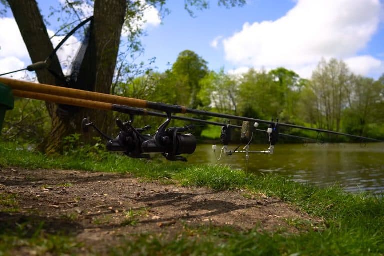 Method Feeder Fishing: A Comprehensive Guide for Carp Anglers