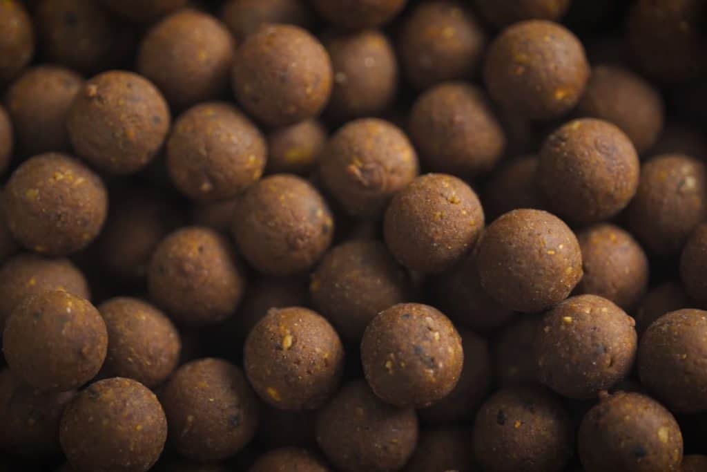 Ultimate Guide to Carp Fishing with Boilies