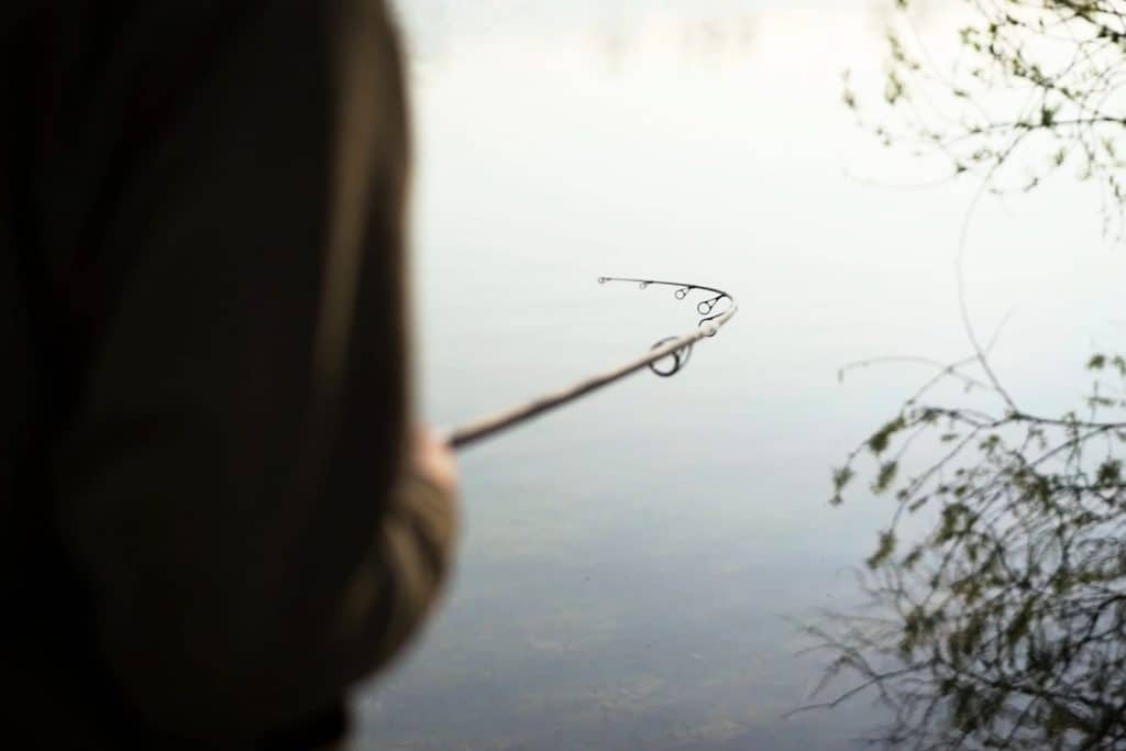 Zig Rig Fishing: A Comprehensive Guide for Carp Anglers