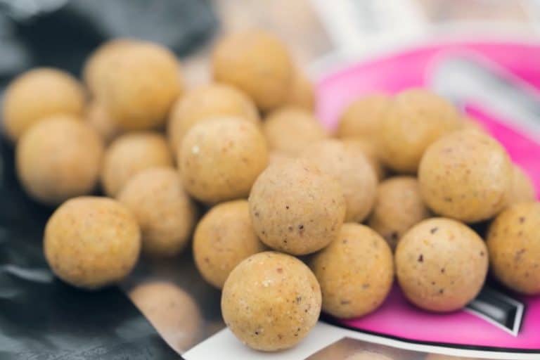 Ultimate Guide to Carp Fishing with Boilies