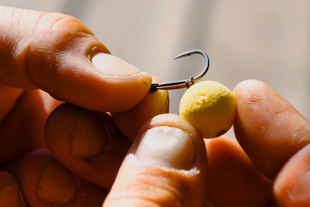 Top Carp Rigs: Tie, Set, & Catch Carp