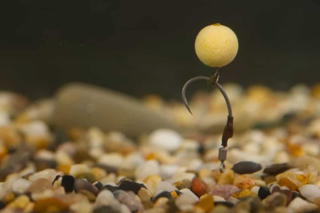 Pop-ups in UK Carp Fishing: The Ultimate Guide