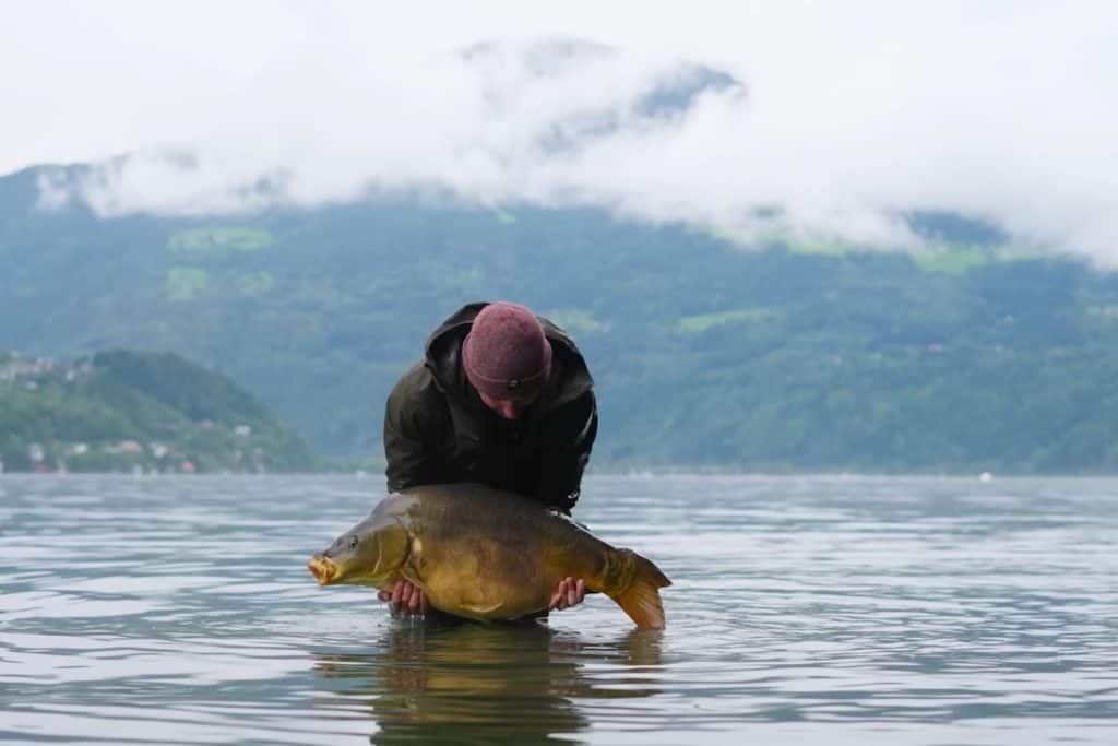 Proper Carp Fish Handling Techniques: A Conservation Guide