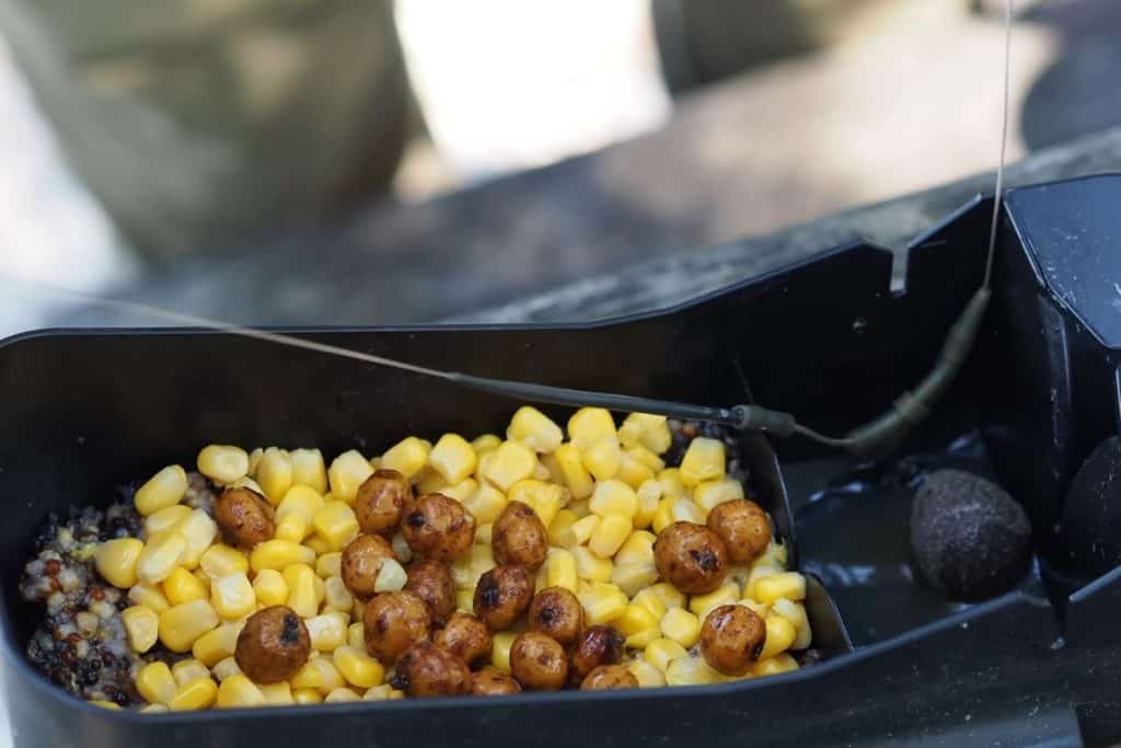 Carp Fishing Lead Systems: A Guide to Enhance Your Catch