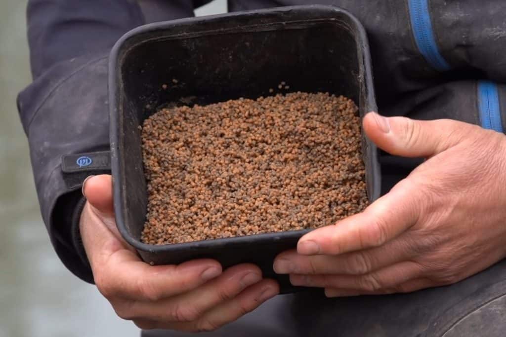 Groundbaits for UK Carp Fishing: A Complete Guide