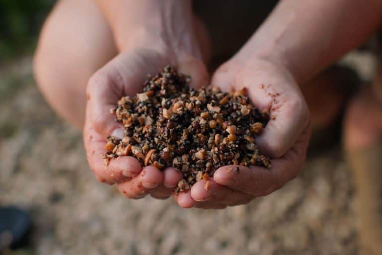 Particle Baits for UK Carp Fishing: A Comprehensive Guide