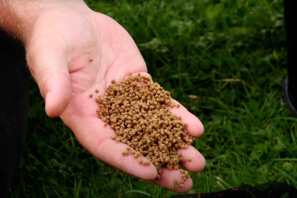 Pellets for UK Carp Fishing: A Comprehensive Guide