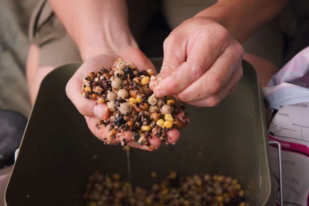 Particle Baits for UK Carp Fishing: A Comprehensive Guide